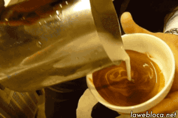 Capuccino GIFs - Get the best gif on GIFER