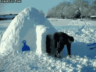 Igloo GIFs - Get the best gif on GIFER