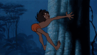 Mowgli GIFs - Get the best gif on GIFER