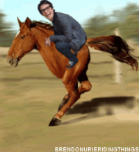 Horse GIFs - Get the best gif on GIFER