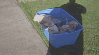 Boxes GIFs - Get the best gif on GIFER