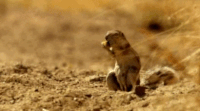 Realization GIFs - Get the best gif on GIFER