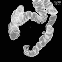 Ct GIF - Conseguir el mejor gif en GIFER