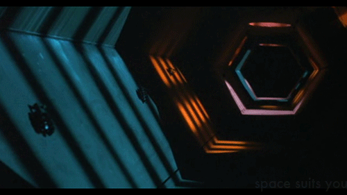 Barrington GIFs - Get the best gif on GIFER