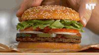 King whopper GIFs - Obtenez le meilleur gif sur GIFER
