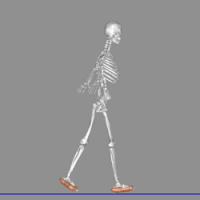 Capture GIFs - Get the best gif on GIFER