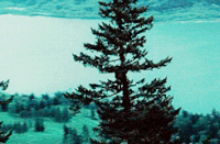 Scribe GIFs - Get the best gif on GIFER