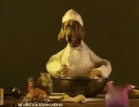Lunch GIFs - Get the best gif on GIFER