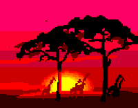 Africa GIFs - Get the best gif on GIFER