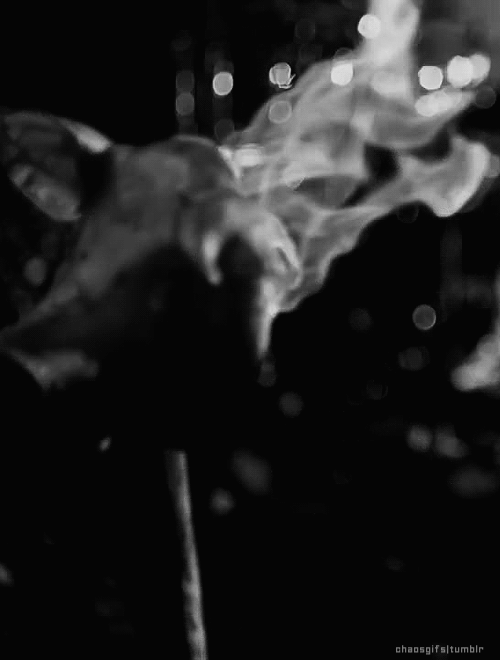 Enduring the eternal molestation of flame GIF - Conseguir o melhor gif ...