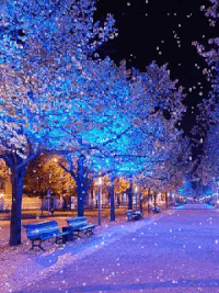 Natural GIFs - Get the best gif on GIFER