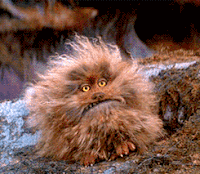Hangry GIFs - Get the best gif on GIFER