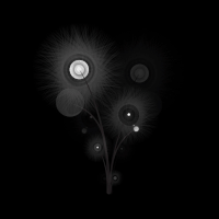 Dandelion GIFs - Get the best gif on GIFER