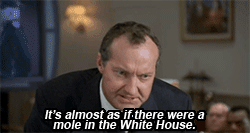 Randy ward GIFs - Hole dir die besten GIFs auf GIFER