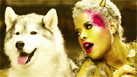 Kelis GIFs - Get the best gif on GIFER