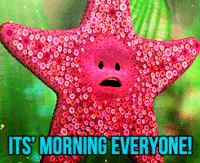 Starfish GIFs - Get the best gif on GIFER