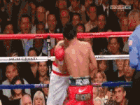 Manny GIFs - Get the best gif on GIFER