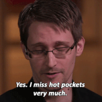 Snowden GIFs - Get the best gif on GIFER