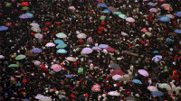 Migration GIFs - Get the best gif on GIFER