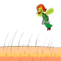 Mosquito GIFs - Get the best gif on GIFER