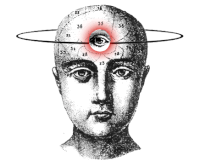 Pineal gland GIF - Conseguir o melhor gif em GIFER