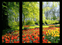 Outing GIFs - Get the best gif on GIFER