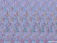Stereogram GIFs - Get the best gif on GIFER