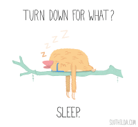 Slothilda GIFs - Get the best gif on GIFER
