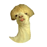 Idk GIFs - Get the best gif on GIFER