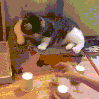 Turnip GIFs - Get the best gif on GIFER