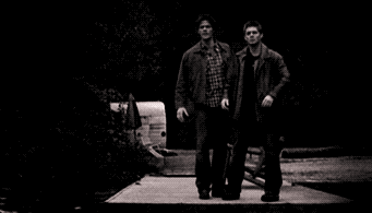 Fiesta terrace GIFs - Hole dir die besten GIFs auf GIFER