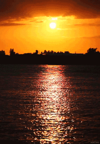 Sunset GIFs - Get the best gif on GIFER