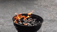 Grilling GIFs - Get the best gif on GIFER