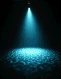 Spot GIFs - Get the best gif on GIFER