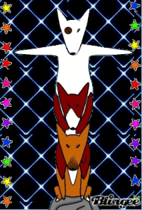 Totem GIFs - Get the best gif on GIFER