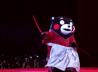 Kumamon GIFs - Get the best gif on GIFER