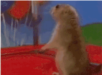 Meh GIFs - Get the best gif on GIFER