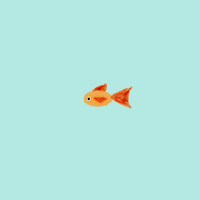 Peixe GIFs - Get the best gif on GIFER