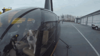Copilot GIFs - Get the best gif on GIFER