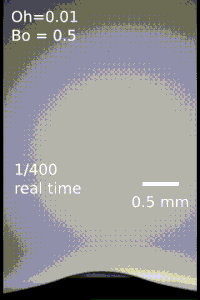 Dinamica GIFs - Get the best gif on GIFER