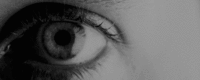 Disturbing GIFs - Get the best gif on GIFER