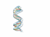 Cellular biology GIFs - Obtenez le meilleur gif sur GIFER