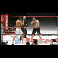 Cro GIFs - Get the best gif on GIFER