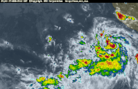 Tracking GIFs - Get the best gif on GIFER