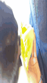 Lettuce GIFs - Get the best gif on GIFER