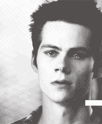 Stiles GIFs - Get the best gif on GIFER