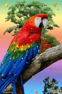 Parrot GIFs - Get the best gif on GIFER