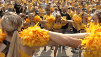 Hawkeyes GIFs - Get the best gif on GIFER