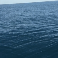 Launching GIFs - Get the best gif on GIFER