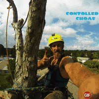 Climber GIFs - Get the best gif on GIFER
